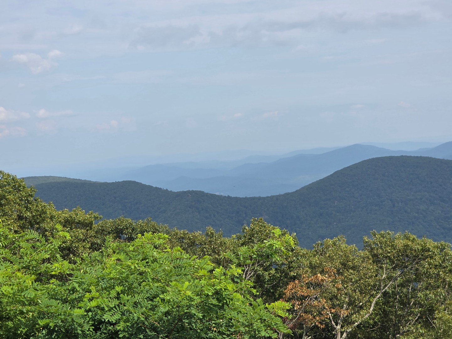 Decolonizing the Mind | One Health Stories